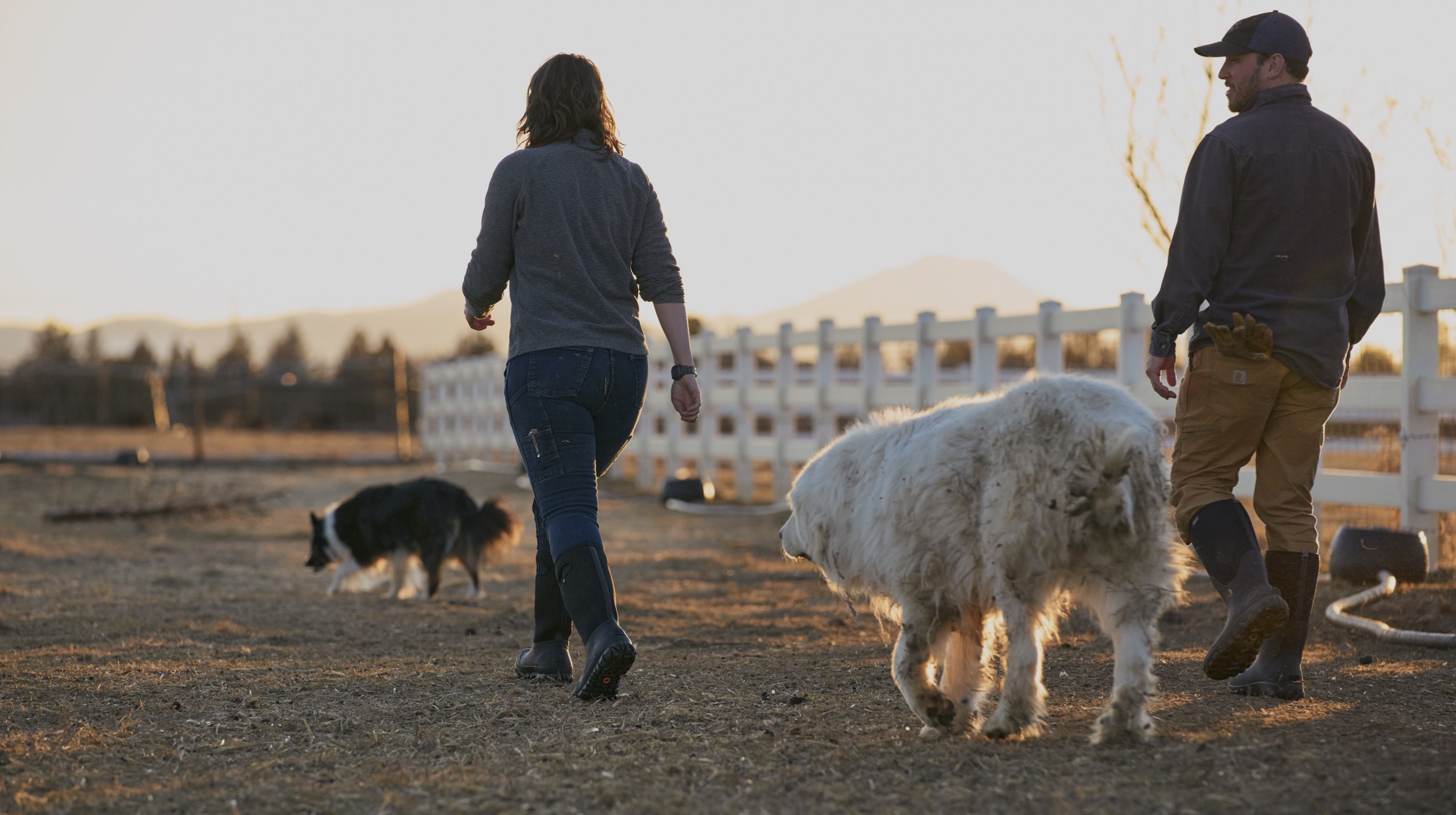 Winter Boots, Rain Boots, Farm Boots | BOGS